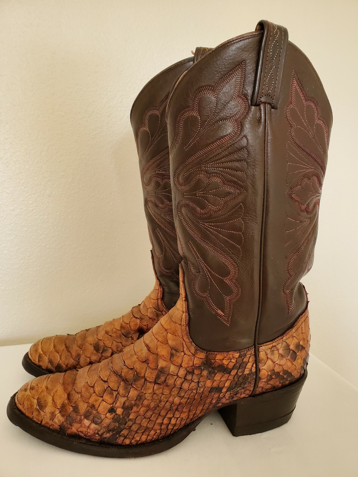 Snake skin python painted rodeo country Western Cowbo… - Gem