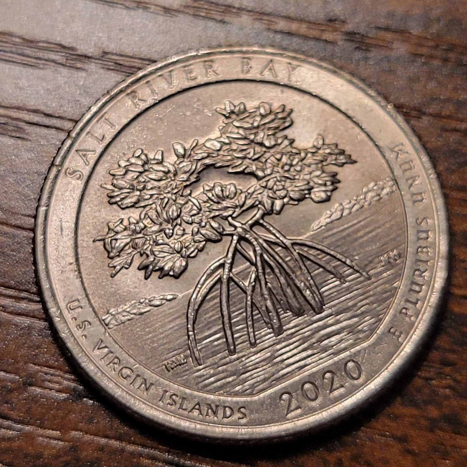 2020-(P) Salt River Bay US Virgin Islands Quarter Dollar Coin | eBay