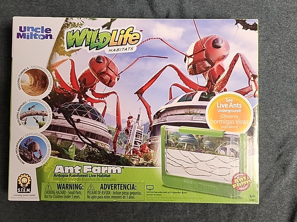 Largest Ant Farm Habitat