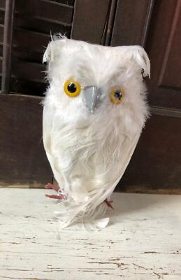 White Mini 6" Owl Vintage Feathered Bird Halloween Prop | eBay