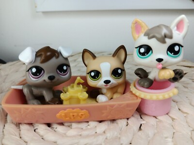 petshop authentic LPS Triples chien Husky Puppies Puppy dog #1876#1877 ...