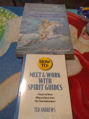 Ted Andrews Wicca Witchcraft Lot Of 2 Fairies Spirit Guides Vintage | eBay