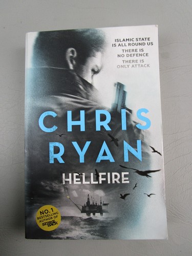 Hellfire: Danny Black by Chris Ryan (Paperback, 2015) Thriller 3 | eBay ...