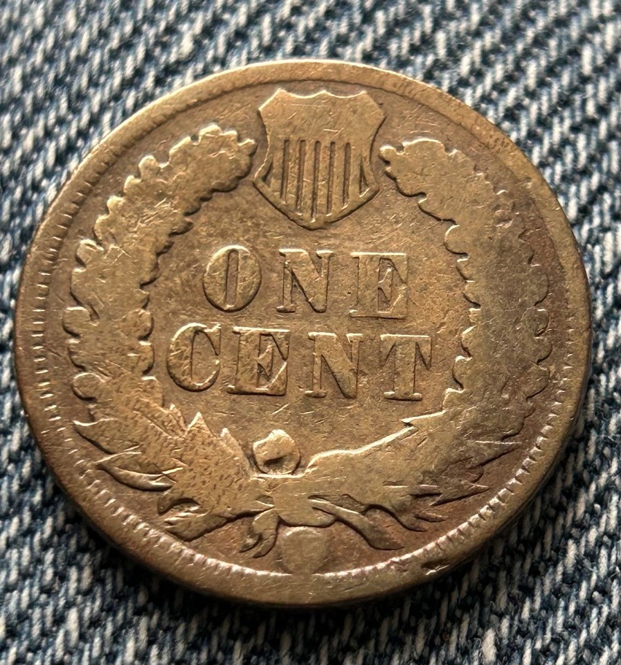 1889 Indian Head Penny( A Collector's Dream Coin) | eBay