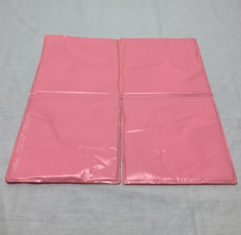 American Girl Rhythmic Gymnastics Mat Replacement Pink with Logo | eBay