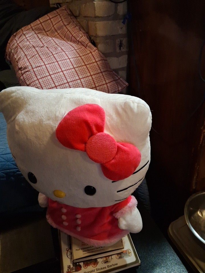 Rare 2014 Hello Kitty Christmas Pink Holiday Greeter Gemmy Plush | eBay