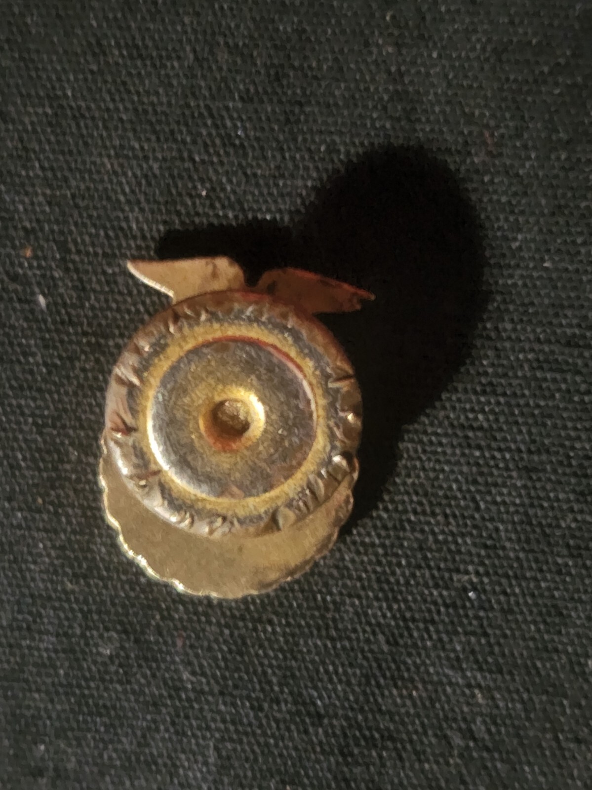 Vintage Future Farmers of America FFA Pin Vocational Agriculture | eBay