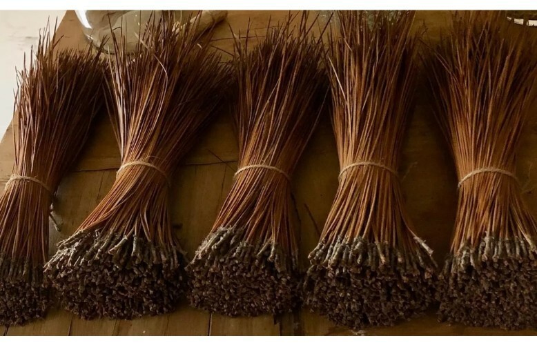 Long Leaf Pine Needles for Basket Making Basket Weaving Basketry 16oz ...