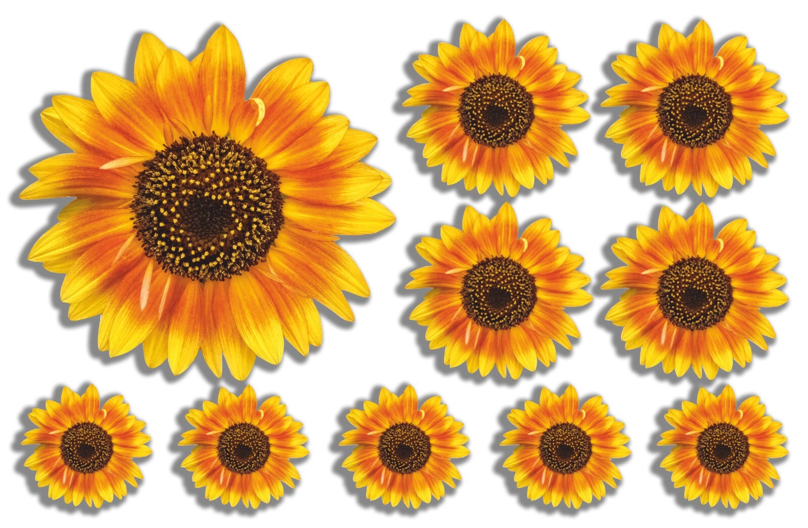SunFlower Car Stickers Graphics Nursery Wall Window Decorations Art ...