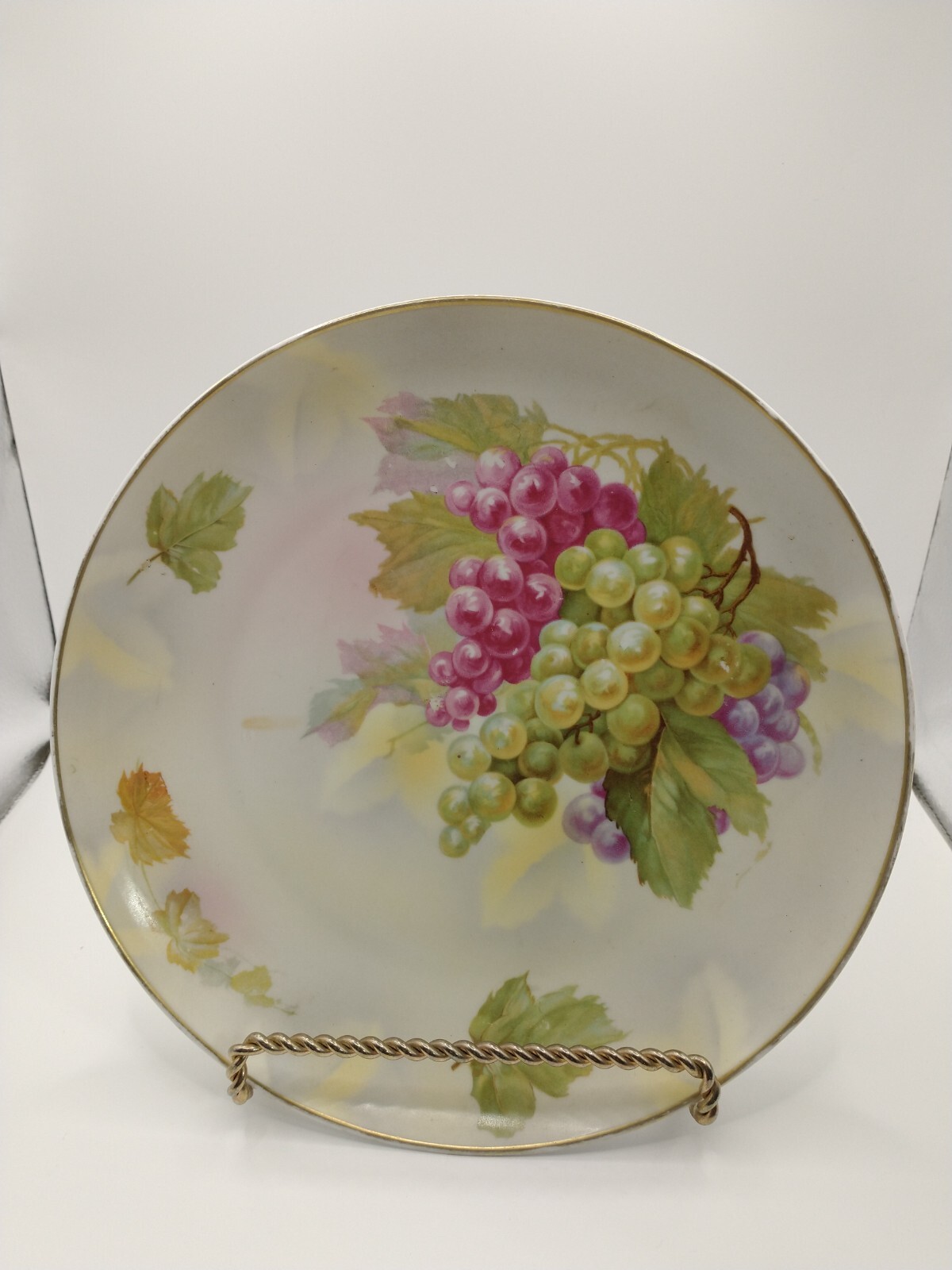 Antique MZ AUSTRIA Plate Hand Painted Green Red Purple Grapes | eBay