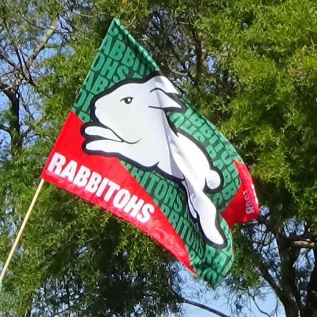 NRL South Sydney RABBITOHS Flag on Stick. Game Day 90cm X 60cm - for ...