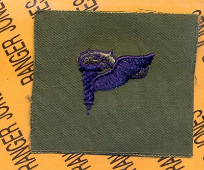 USAF Air Force PATHFINDER Torch wing Blue on OD Green qualification ...