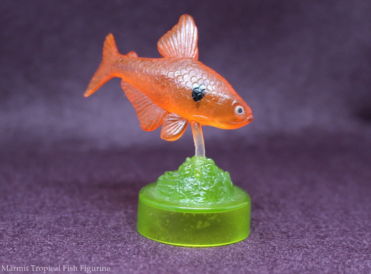 Red Phantom Tetra