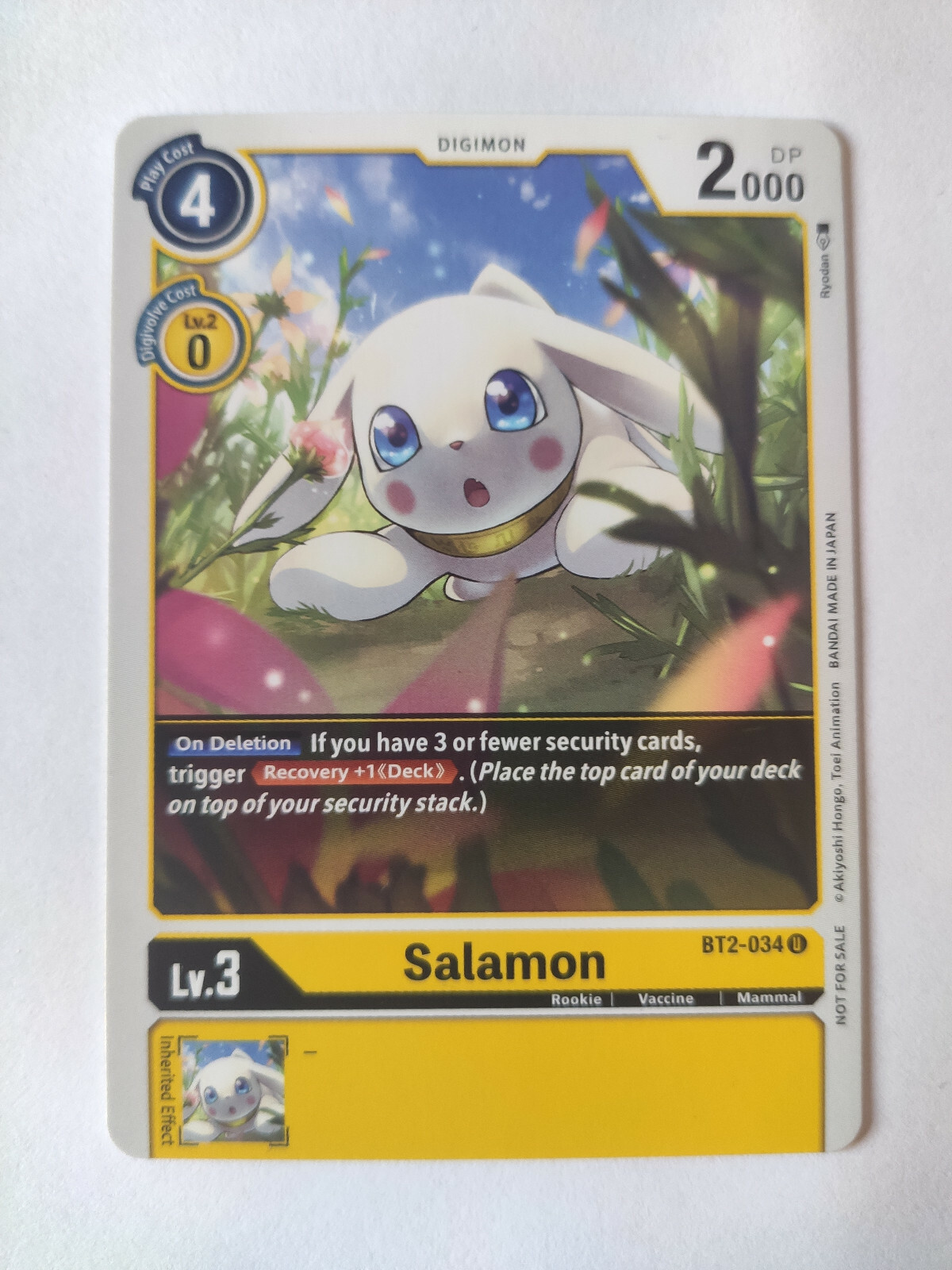 Salamon BT2-034 Alternative Art Digimon Card Game Promo | eBay