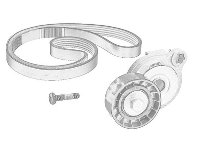 Mounting Set, tensioner pulley (V-ribbed belt) OE VOLVO 31401425 | eBay