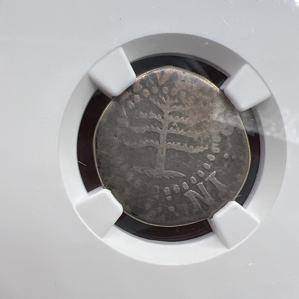 1652 NGC Fine Details Rev Scratch Massachusetts Small Pine Tree ...