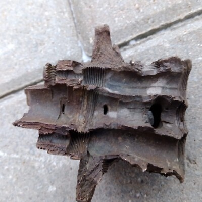 WW1 WW2 Battlefield relic; ORIGINAL RELIC! | eBay