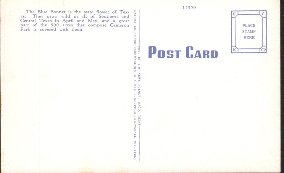 Blue Bonnet Gardens, Cameron Park, Waco, Texas Linen Postcard. | eBay