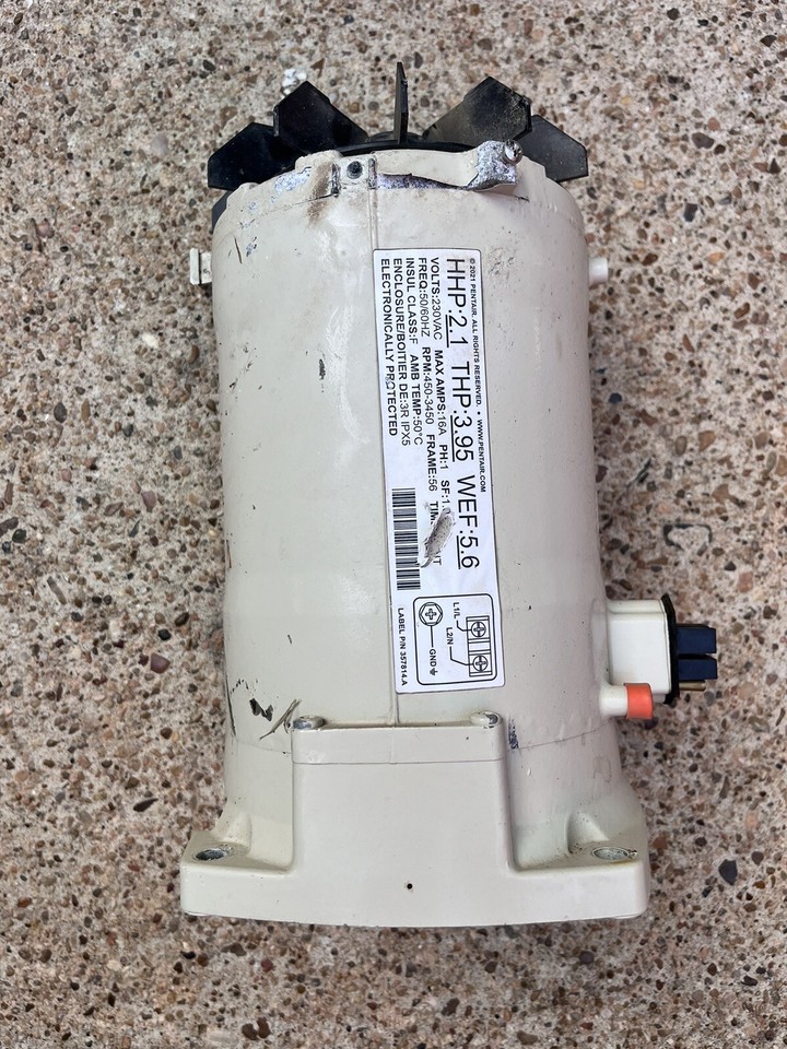 PENTAIR 350305S 3.2kW 10 Pole IntelliFlo Variable Speed Pump Motor | eBay