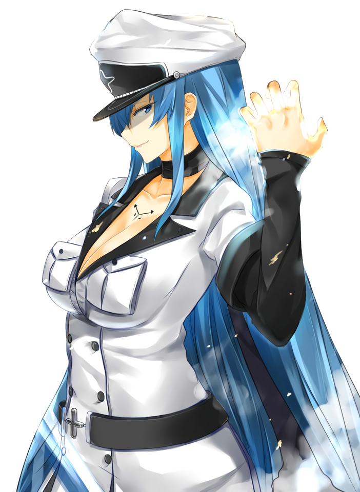 Esdeath V3 Akame Ga Kill Weatherproof Anime Sticker 6" Car Decal | eBay