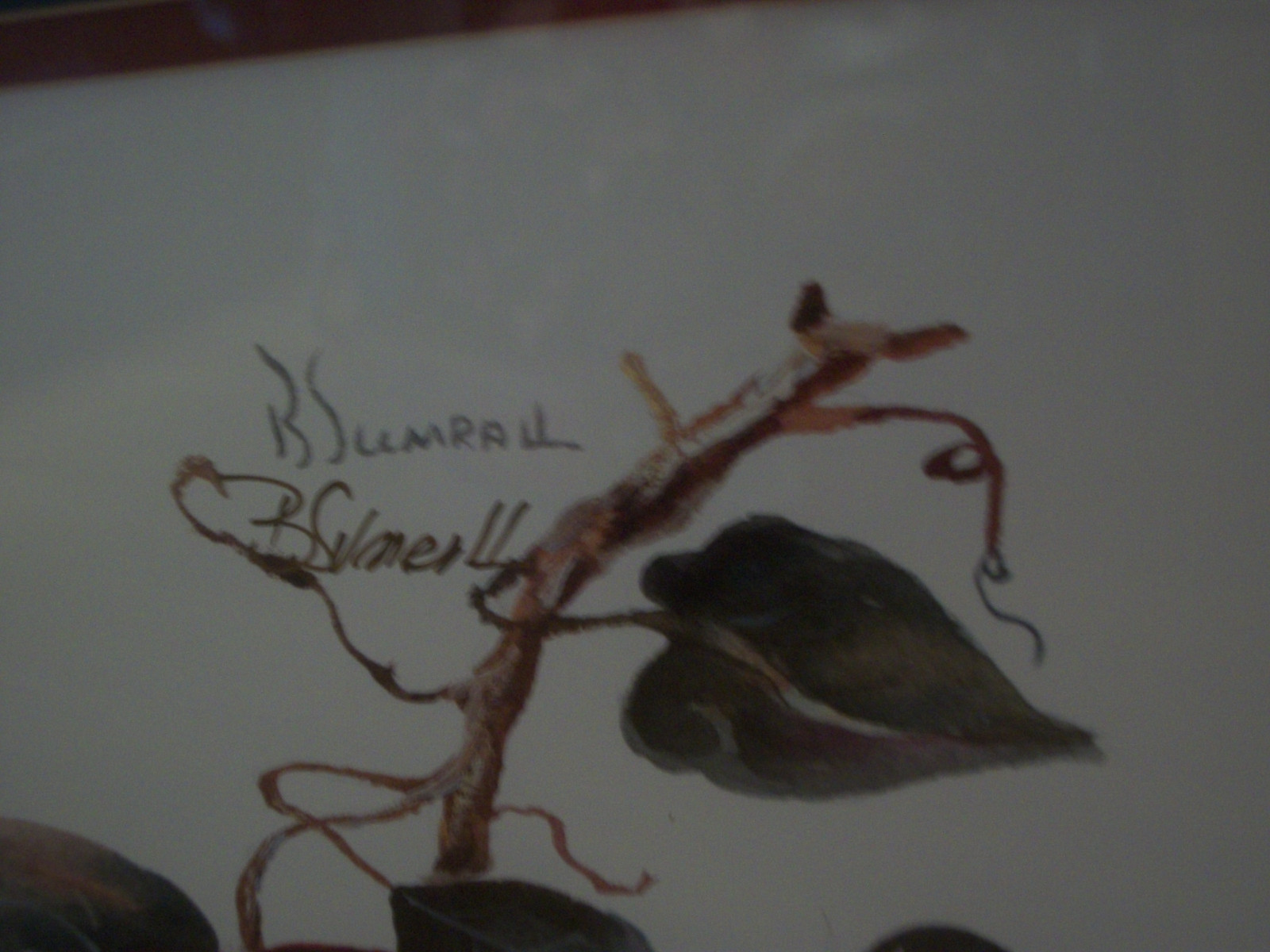 B. Sumrall Litho Pair Squash Apples - Professionally Framed Matted ...