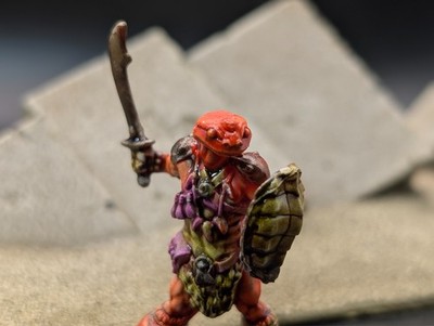 Well painted Reaper Fire Newt with turtle shield dnd fantasy miniature ...