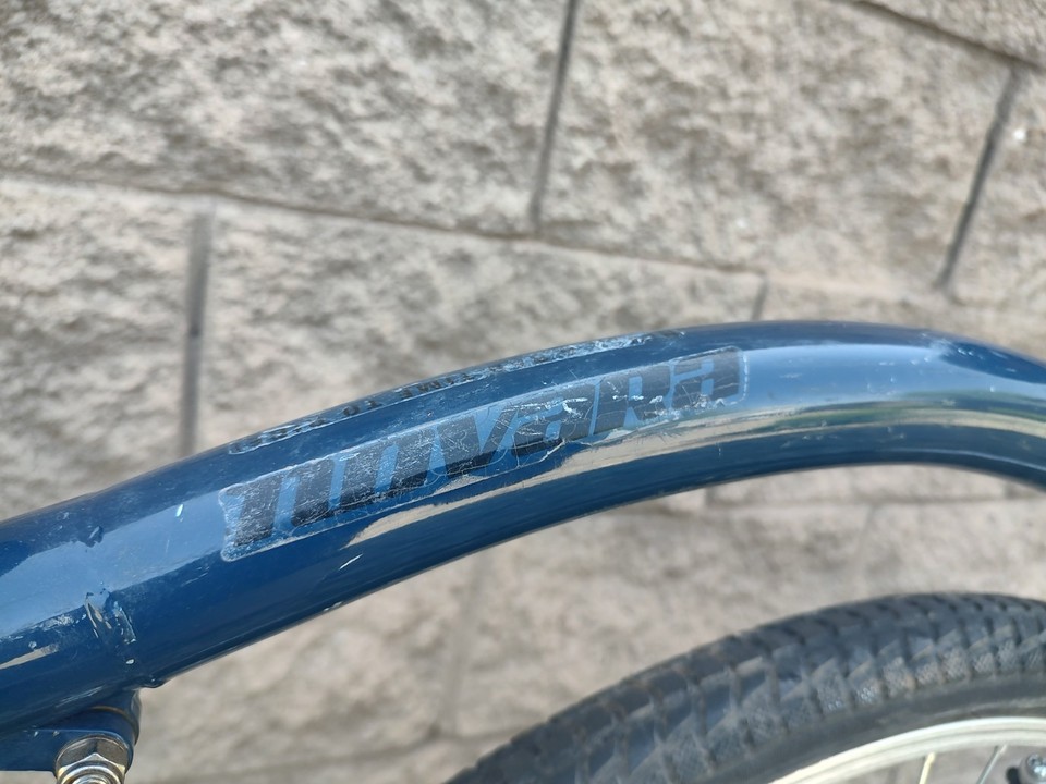 Novara Afterburner Tag-along Kids Bike Trailer Trainer | eBay