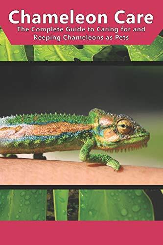 Chameleon Care The Complete Guide to Caring for and Keeping Chameleons ...
