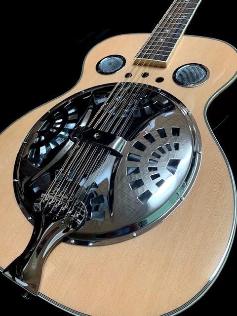 GREAT PLAYING NEW 12 STRING ACOUSTIC DOBRO RESONATOR GUITAR | eBay