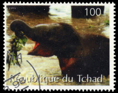 CHAD Dt 1998 - African Elephant "Loxodonta africa" Type II (pb88075) | eBay