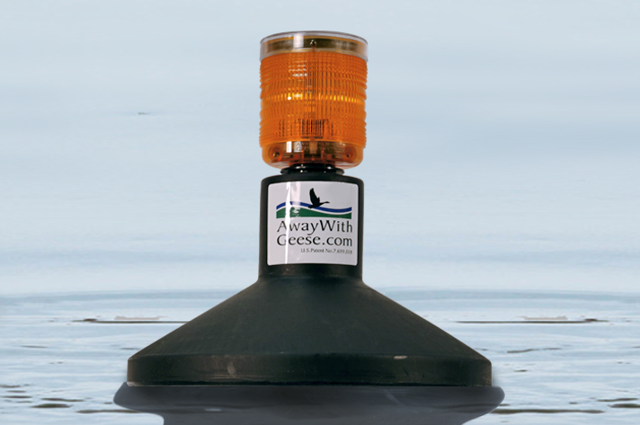 AWAY WITH GEESE - Water Unit disrupts geese sleep Geese Deterrent ...
