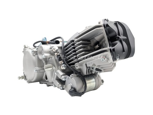 190Cc Daytona 4 Valve Electric Start Anima 190FE Engine for Dirt Pit ...