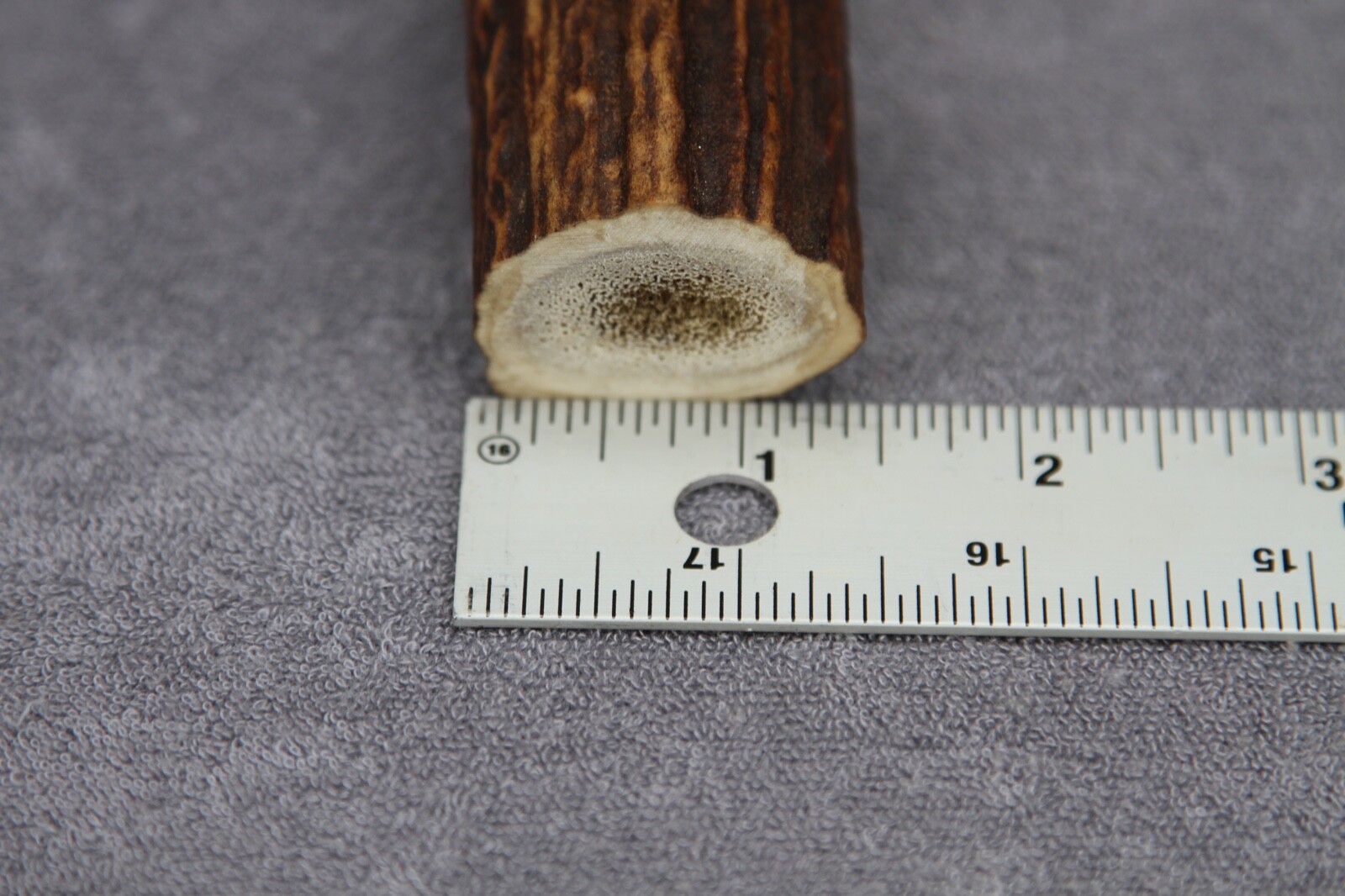 REAL RED DEER ANTLER SECTION EXTRA LONG FOR A KNIFE HANDLE OR DOG CHEW ...