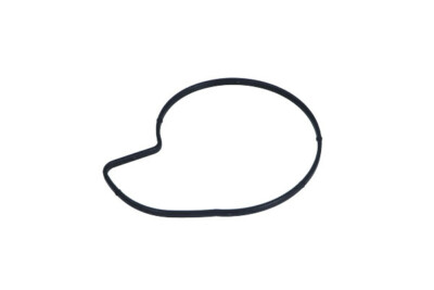 Guarnizione Pompa Acqua Org BMW 11517514940 Per | eBay