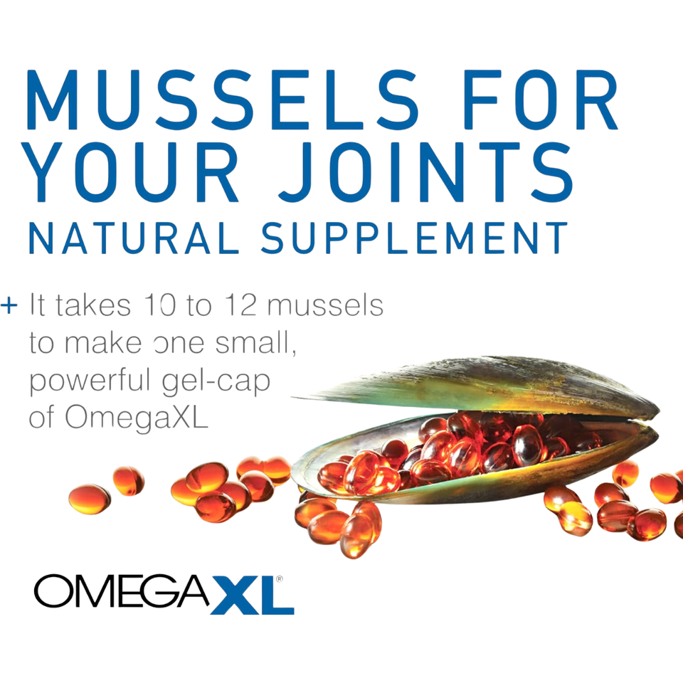 2 Pack Omega XL Natural Joint Muscle Support Omega 3 Joint Pain Relief ...