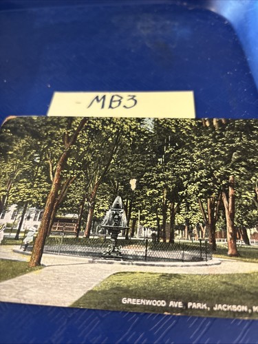 JACKSON MICHIGAN Greenwood Ave Park made in Germany 1906 Vintage ...