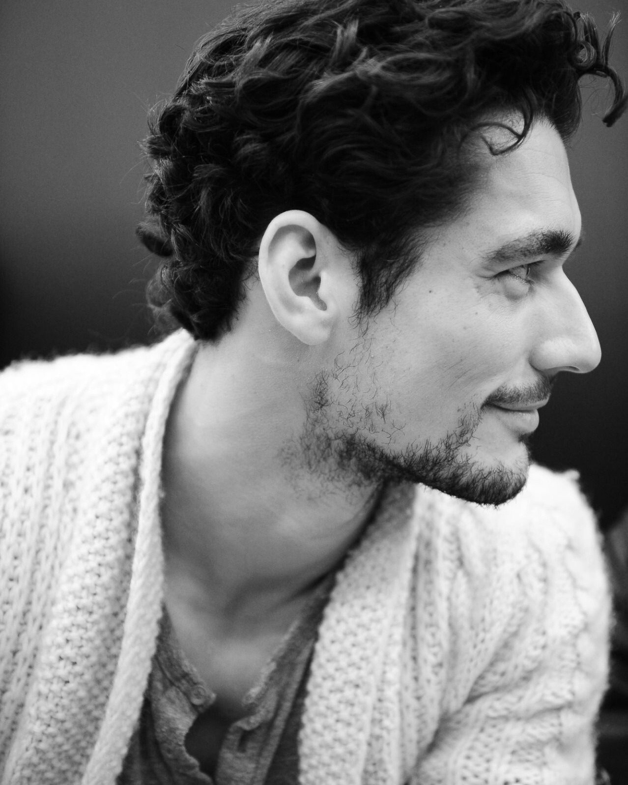 David Gandy Profile