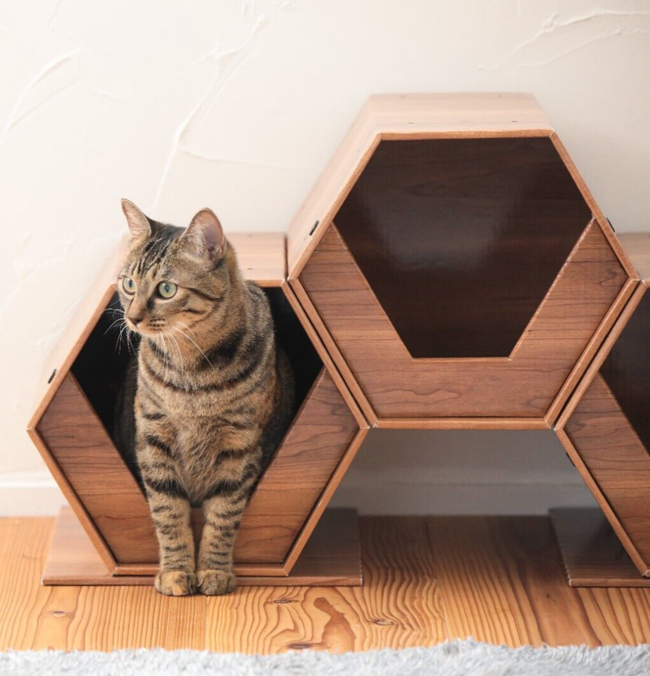 Cat Cube Set of 3 Wood Grain Cardboard Water Repellent Antibacterial ...