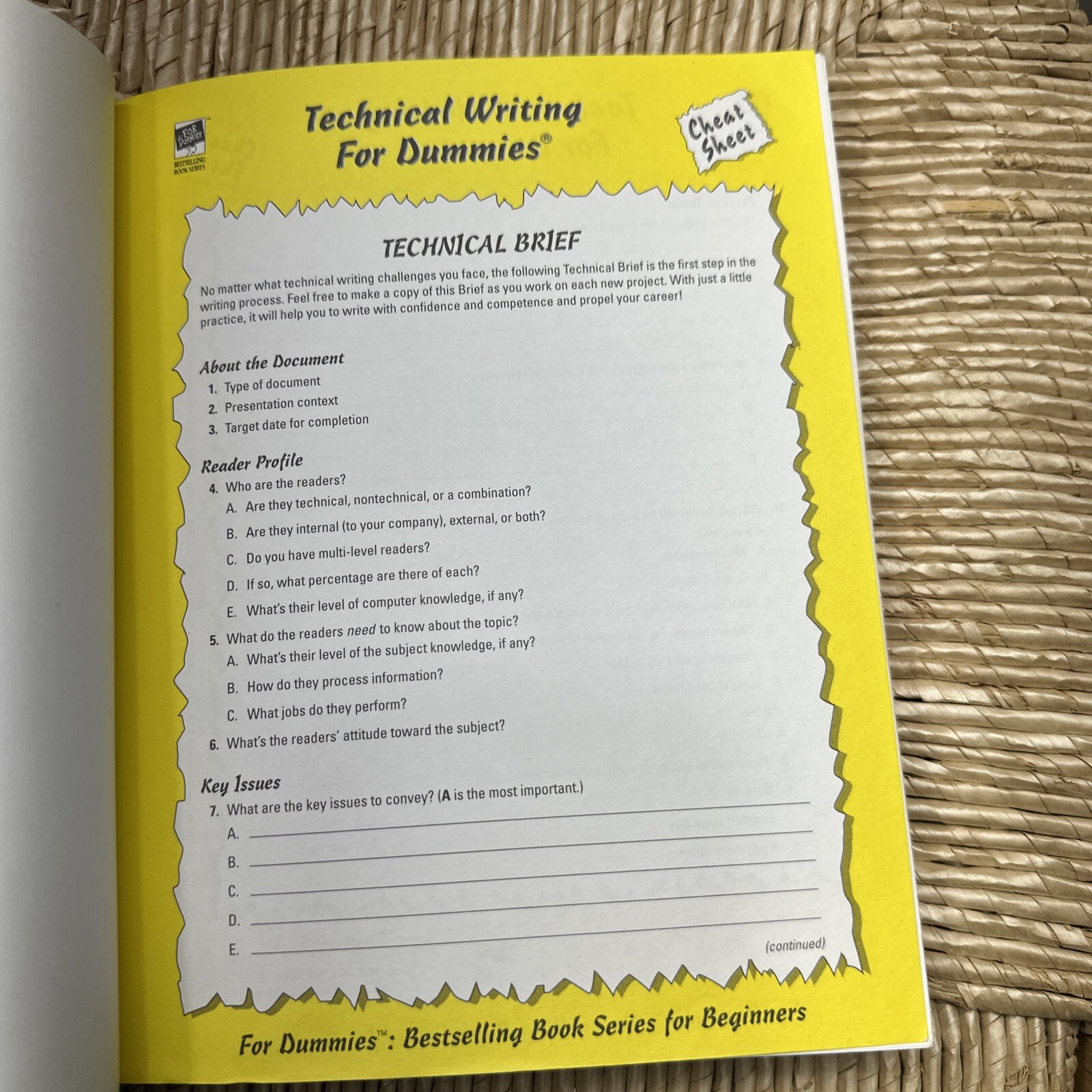 Technical Writing for Dummies by Sheryl Lindsell-Roberts (2001, Trade ...