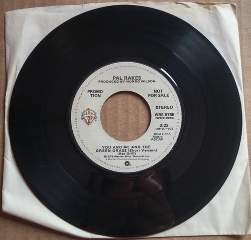 Pal Rakes - You And Me And The Green Grass, 7", (Vinyl) | eBay
