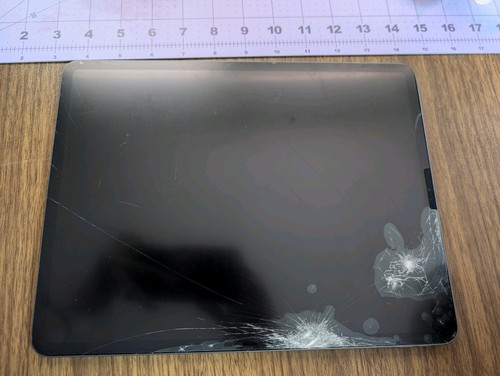 Apple iPad Pro 12.9 In 3rd Gen WiFi 256GB Space Gray, A1876 ...