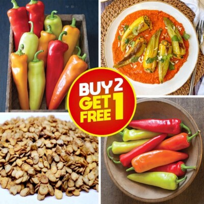 Hungarian Hot Wax Pepper Chile Hungaro Yellow Peppers Chile Guero 20 ...