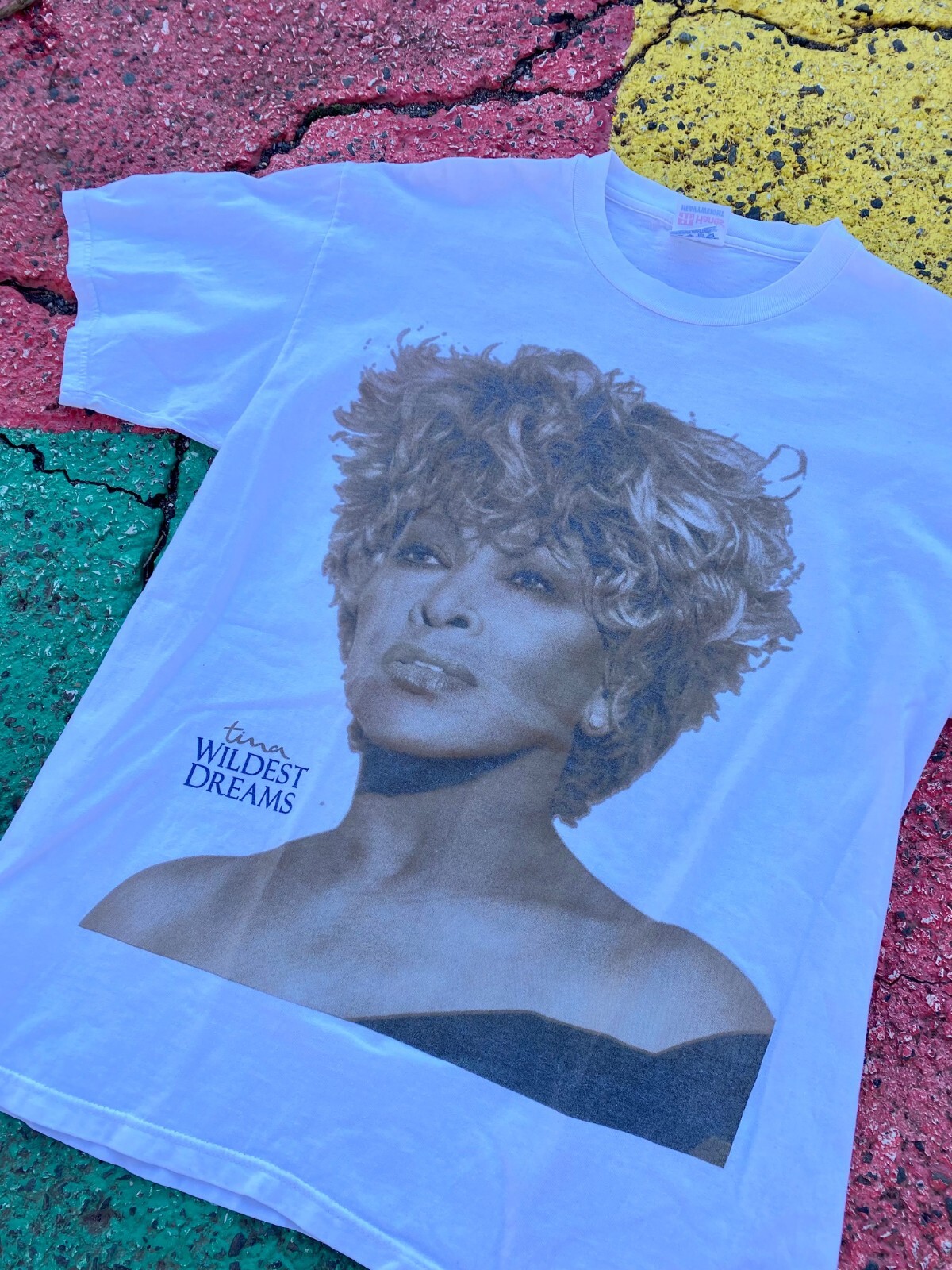 VTG 1996/97 Tina Turner Wildest Dreams Tour by Hanes … - Gem