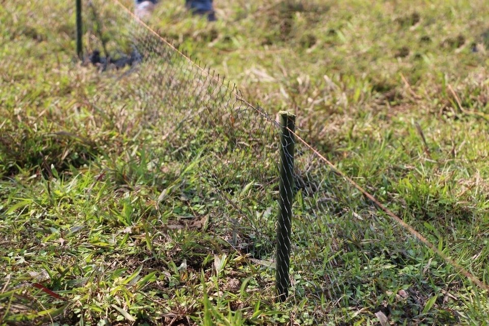 2Pcs Outdoor Nylon Snake Trap Net Hunting Protection Family 20x0.5 ...