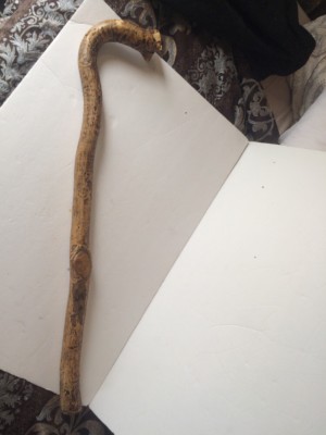 Large Thick Natural Wiod Knobby Cane Walking Stick | eBay