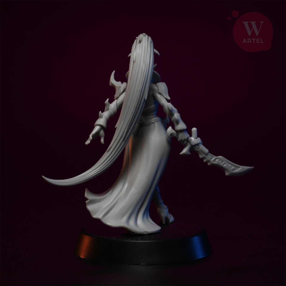 Locustyne Artel W Drukhari Lhamaean Wyches Archon Sslyth Medusae Dark Eldar | eBay