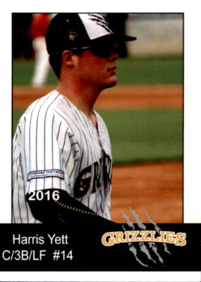 2016 Gastonia Grizzlies Team Issue #26 Harris Yett Walters State ...