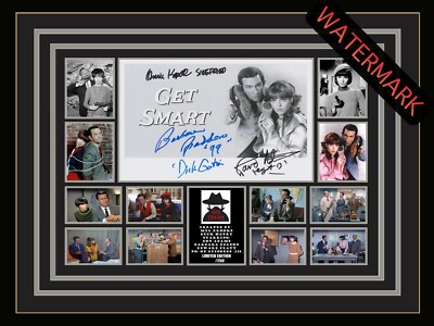 GET SMART -MAXWELL SMART-AGENT 99 LIMITED EDT CAST SIGNED & FRAMED ...