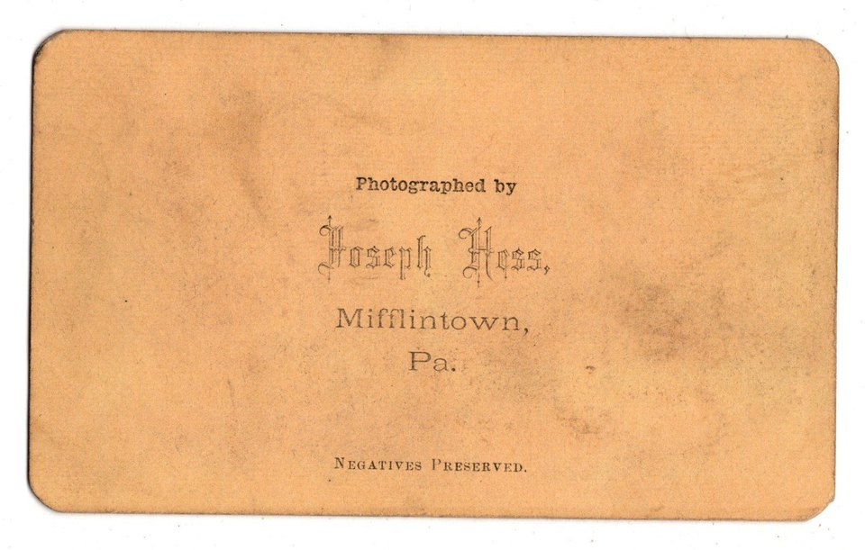 ANTIQUE CDV CIRCA 1870s JOSEPH HESS HANDSOME EARDED MAN MIFFLINTOWN ...