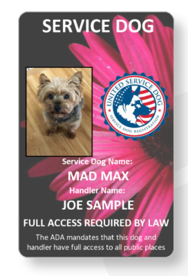 Flower Service Dog/Emotional support/Therapy Dog ID card | eBay